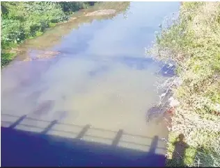 Página|12 - Rosario12 Newspaper Subscription | PressReader