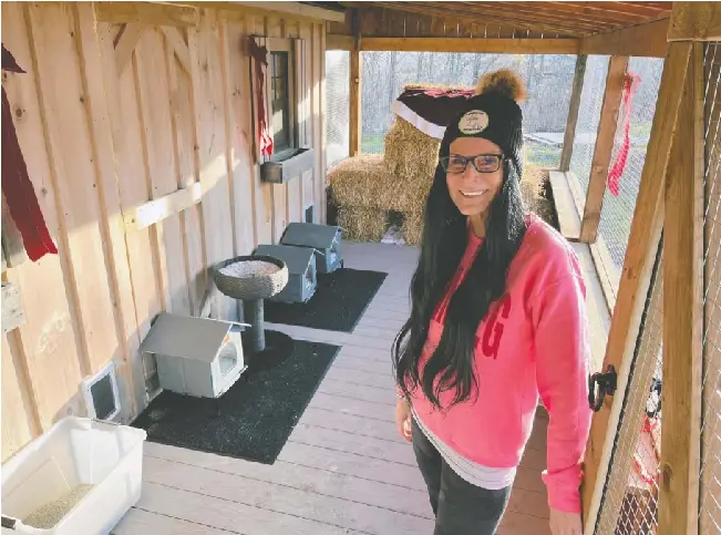 The Observer (Sarnia) Newspaper Subscription | PressReader