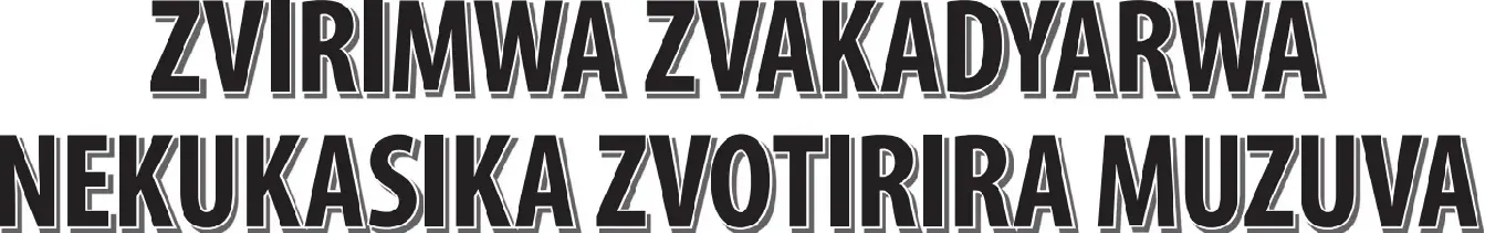 Kwayedza Newspaper Subscription | PressReader